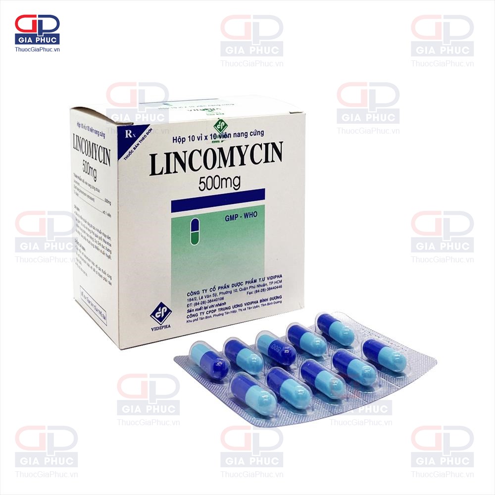 Linco 500 h100v Vidipha